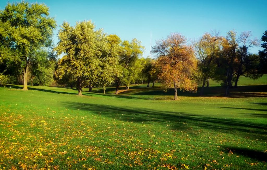 Environmental Benefits of a Healthy Landscape