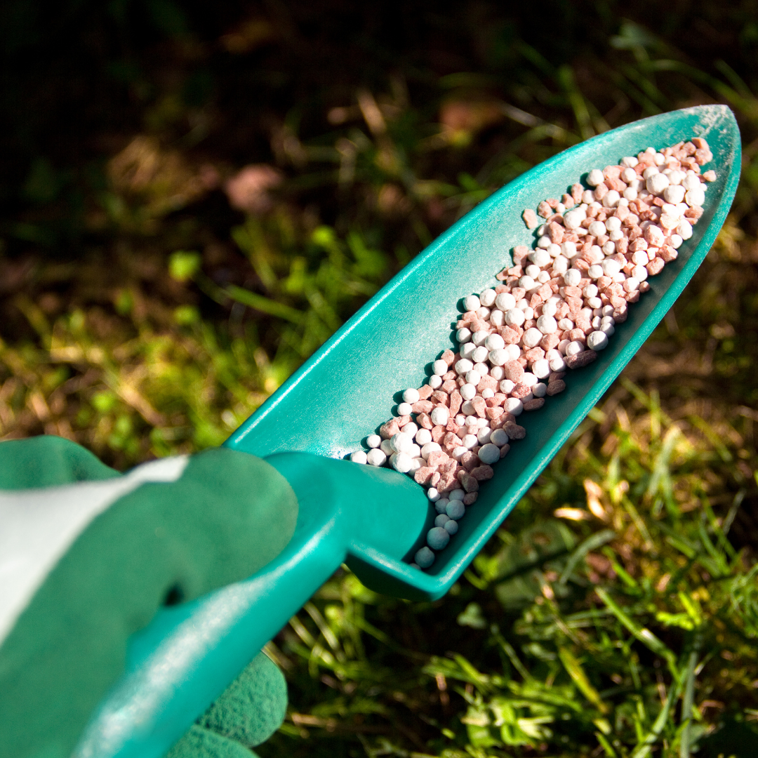 Commercial Landscape Fertilizing